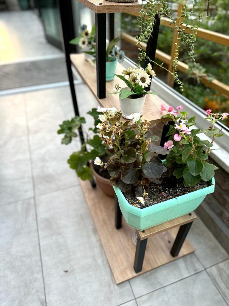 Multi Tier Wood Plant Stand - Wooden Flower Stand - Indoor Flower Shelf ...