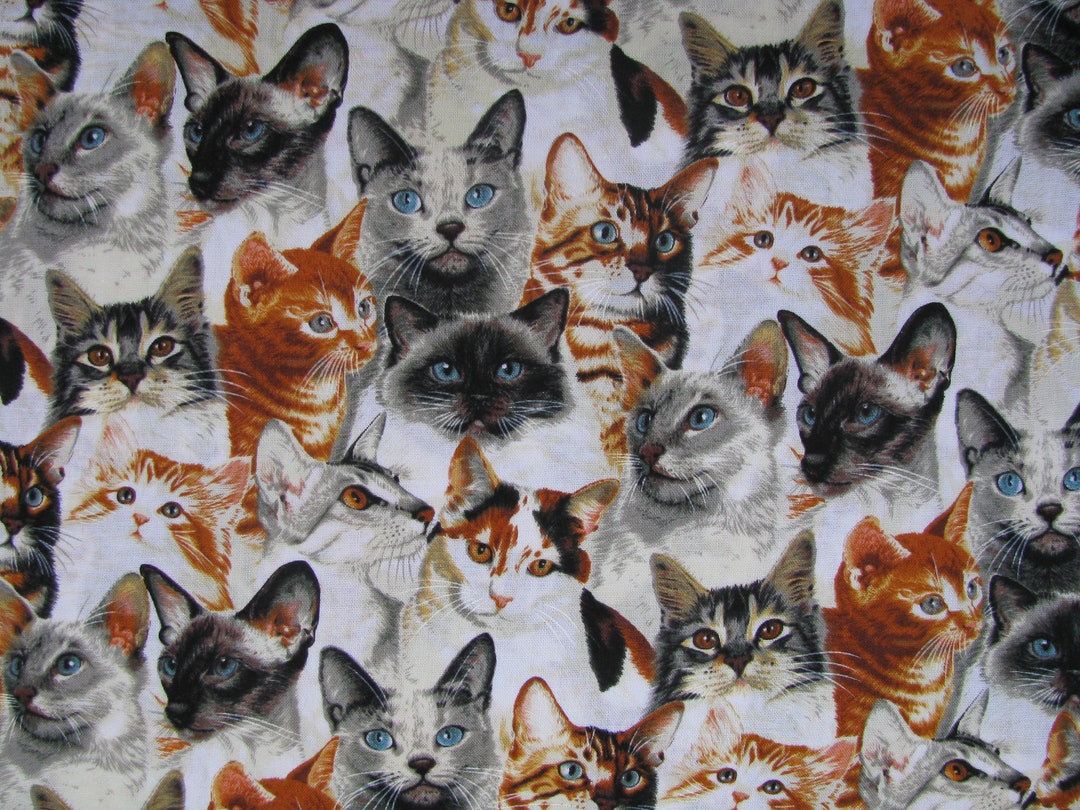 Rare Packed Multi Breed Cats Patty Reed for Fabric Traditions Cat ...