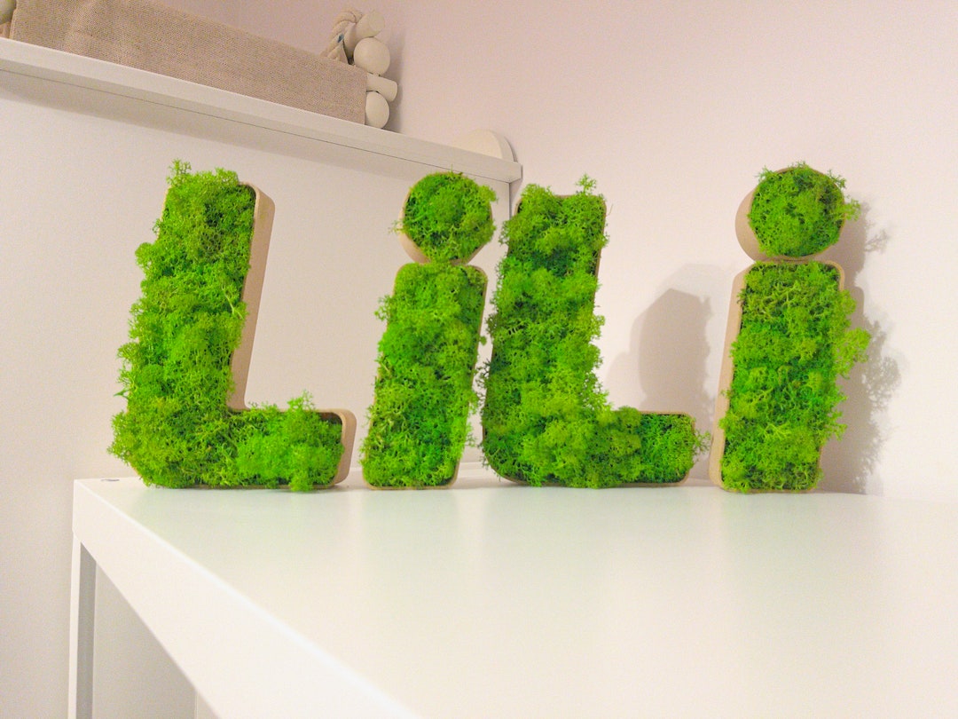 Personalized Moss Lettering, Moss Frames, Your Own Letters, 3D Printing ...