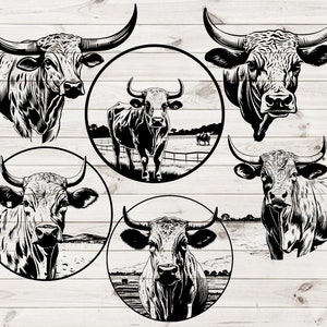 Bull Svg Cow Png Bovine Silhouette Svg Cattle Western Art Clipart ...