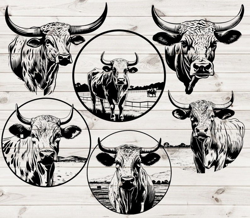 Bull Svg Cow Png Bovine Silhouette Svg Cattle Western Art Clipart ...