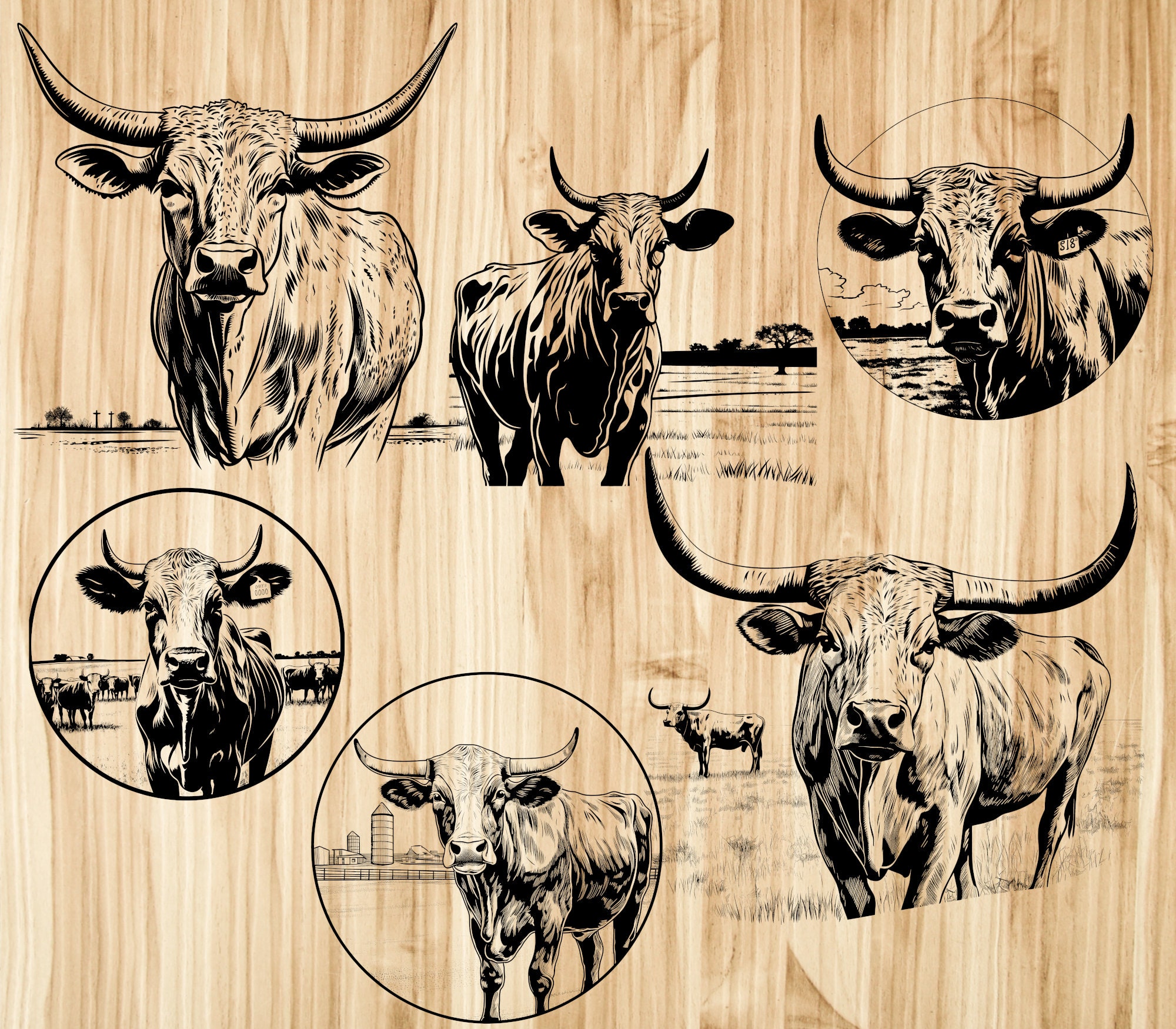 Bull Svg Cow Png Bovine Silhouette Svg Cattle Western Art Clipart ...