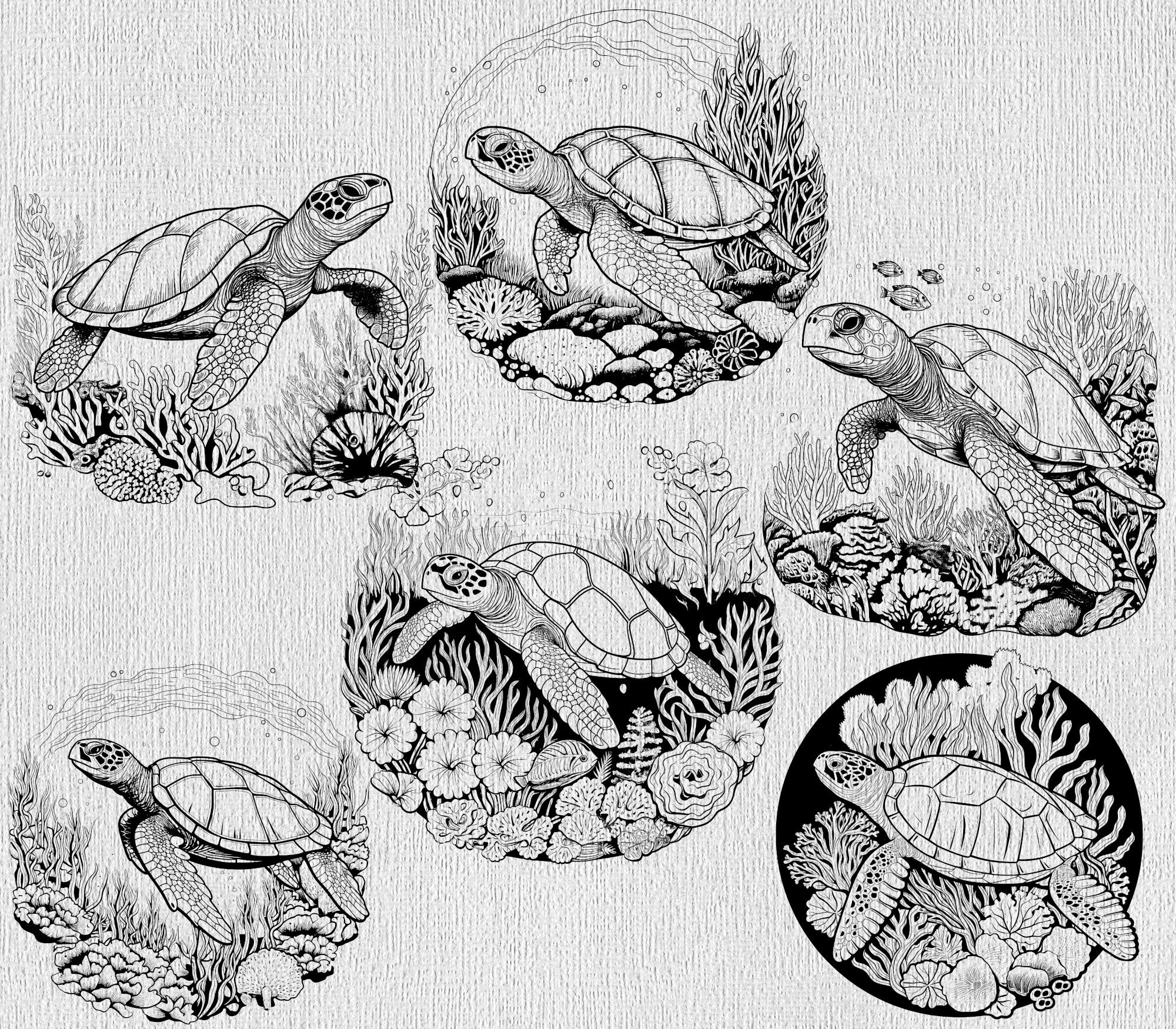 Sea Turtle Svg Bundle Turtle Printable Vector Logo Sea Turtle Laser ...