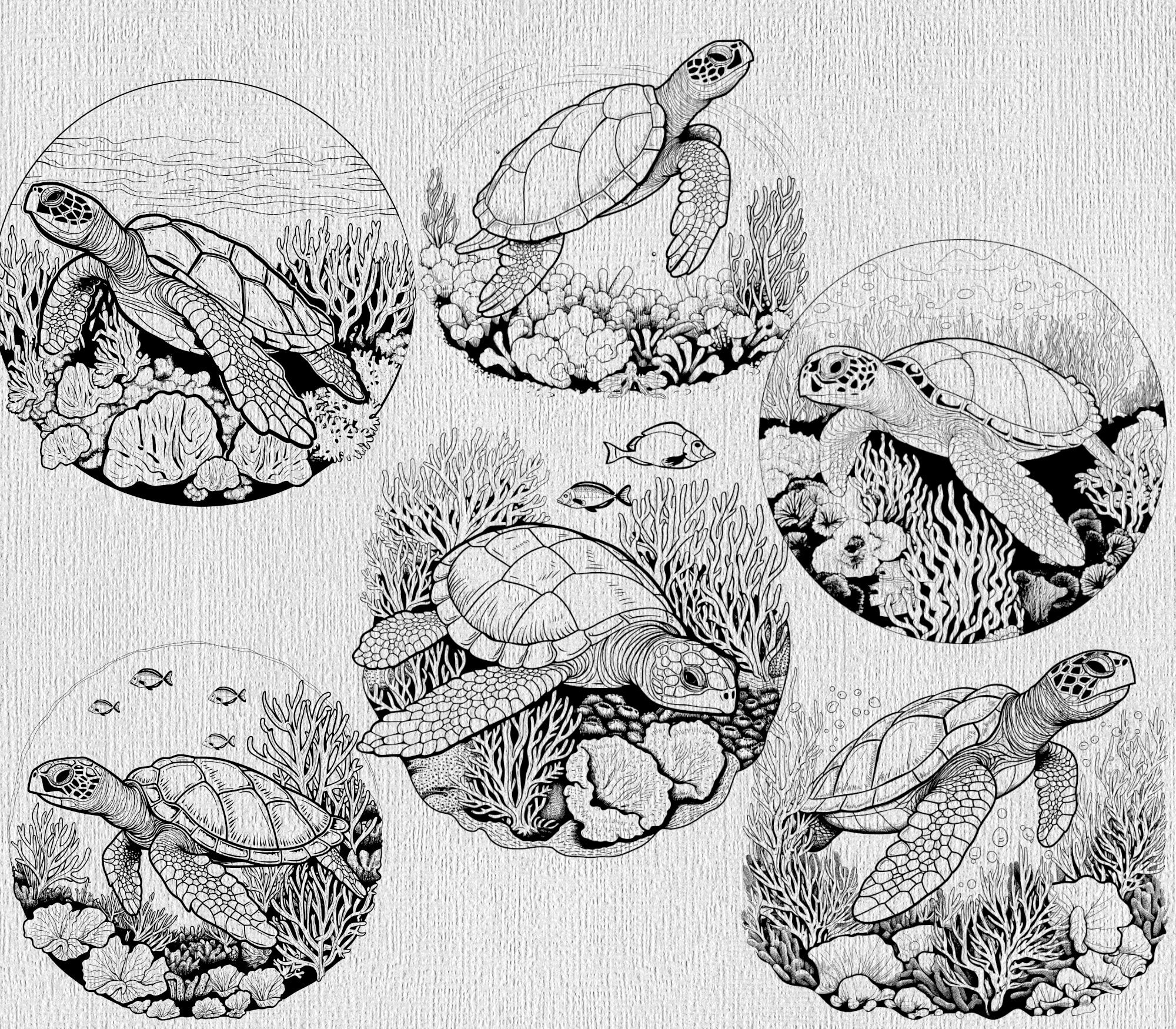 Sea Turtle Svg Bundle Turtle Printable Vector Logo Sea Turtle Laser ...