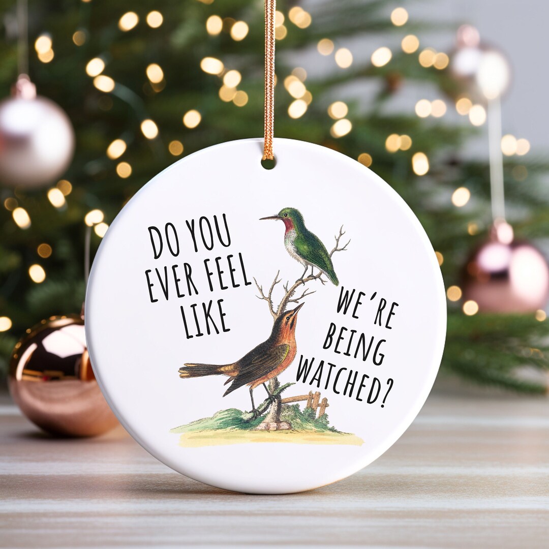 Funny Bird Watching Gifts Bird Watcher Ornament Humorous Bird Lover ...