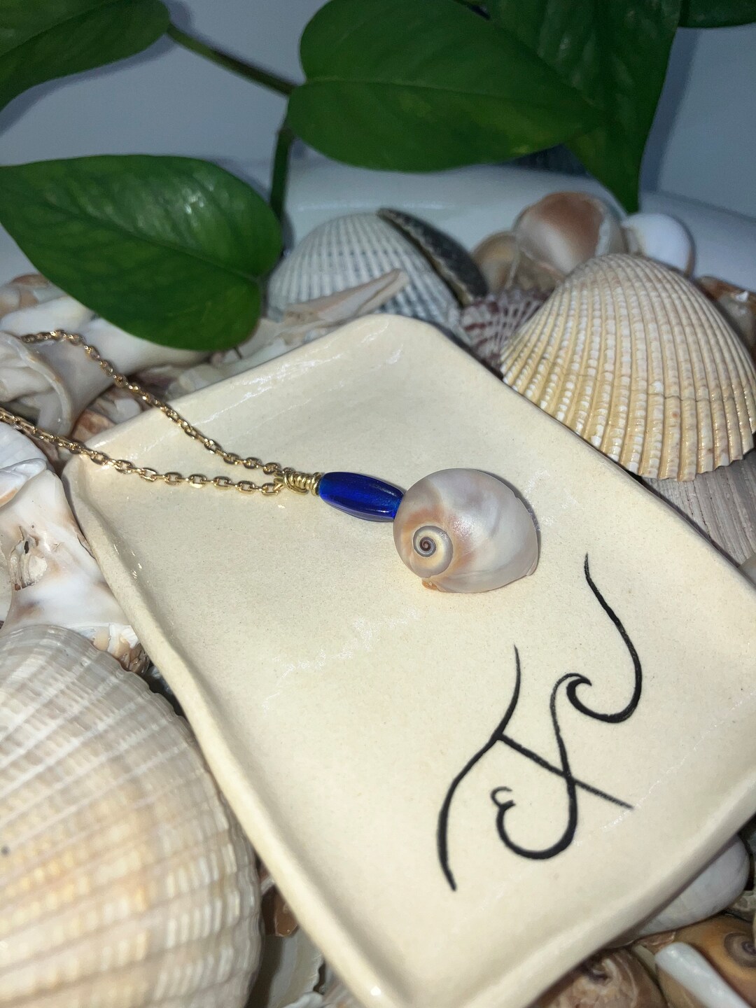 Shark Eye Seashell Necklace - Etsy