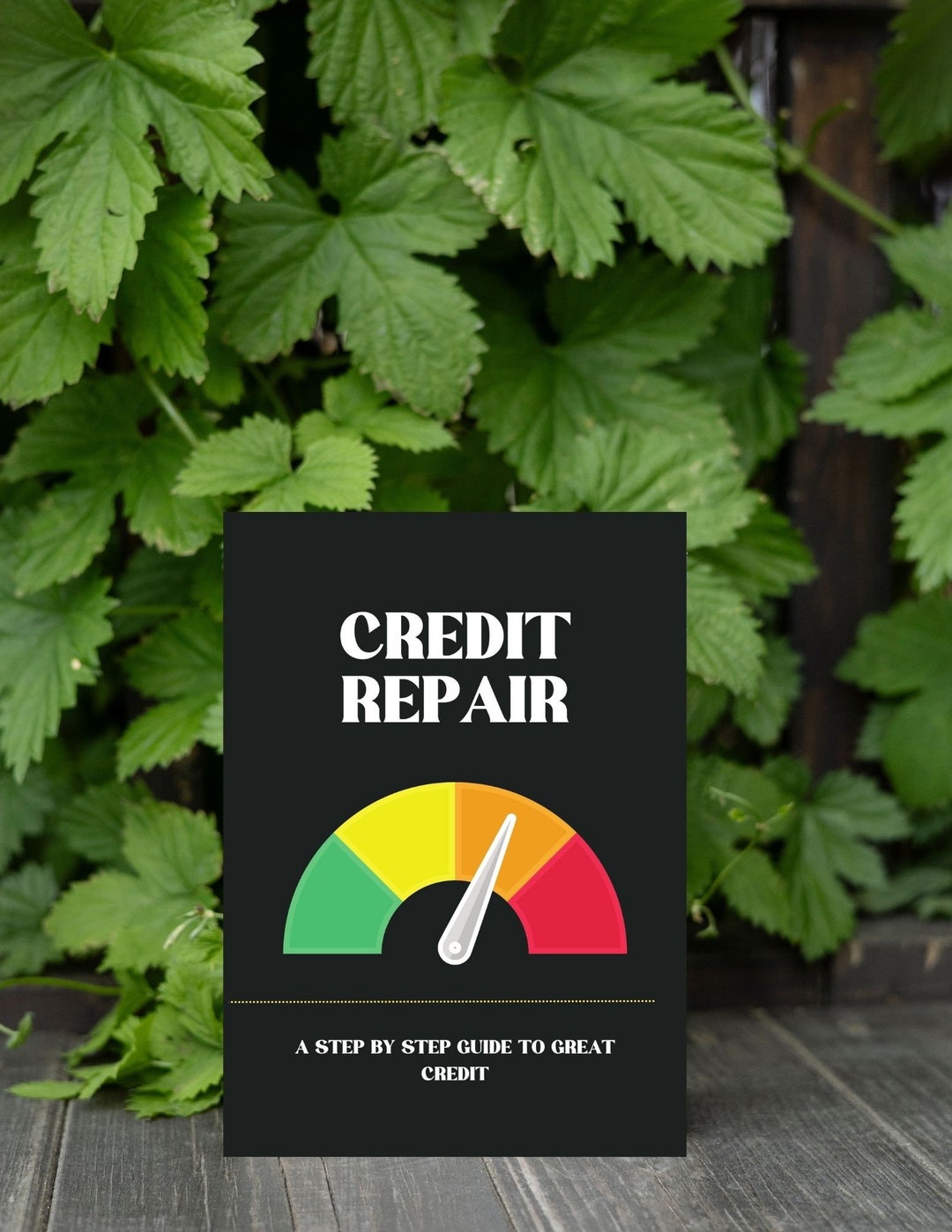 DIY Credit Repair Guide: Step-by-step to Eliminate Debt Improve Credit ...