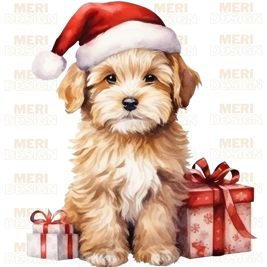 Maltipoo Christmas PNG, Christmas Shirt Png,vintage Christmas PNG ...