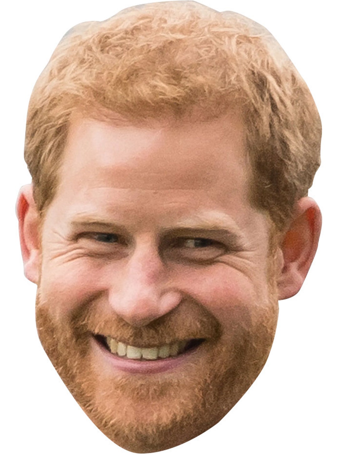Prince Harry Coronation Royal Celebrity Fancy Dress Face Mask 2023 ...