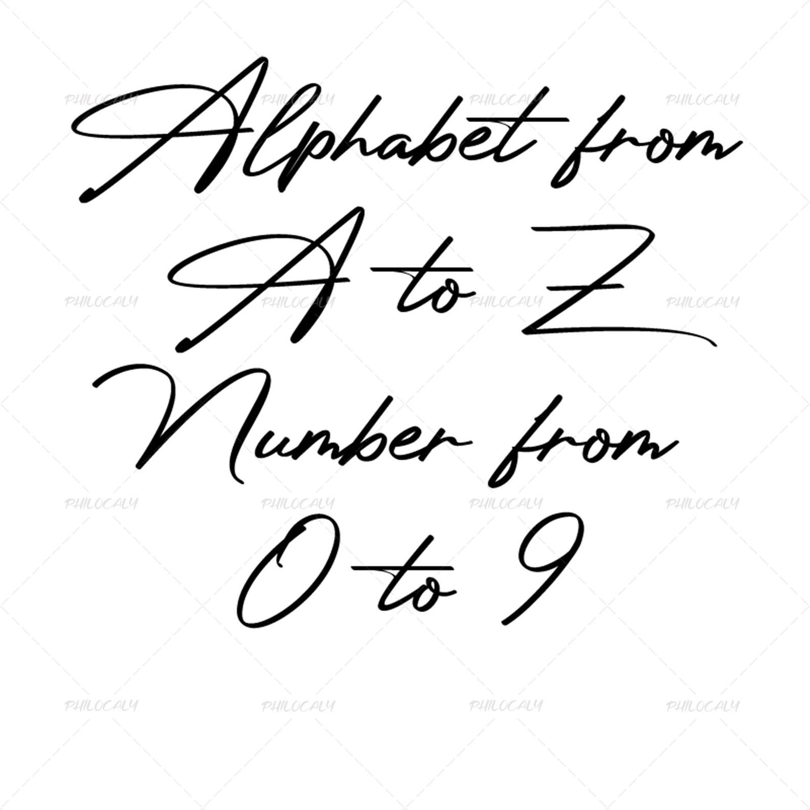 Signature Font Bundle, Script Fonts TTF, Calligraphy Wedding Fonts ...
