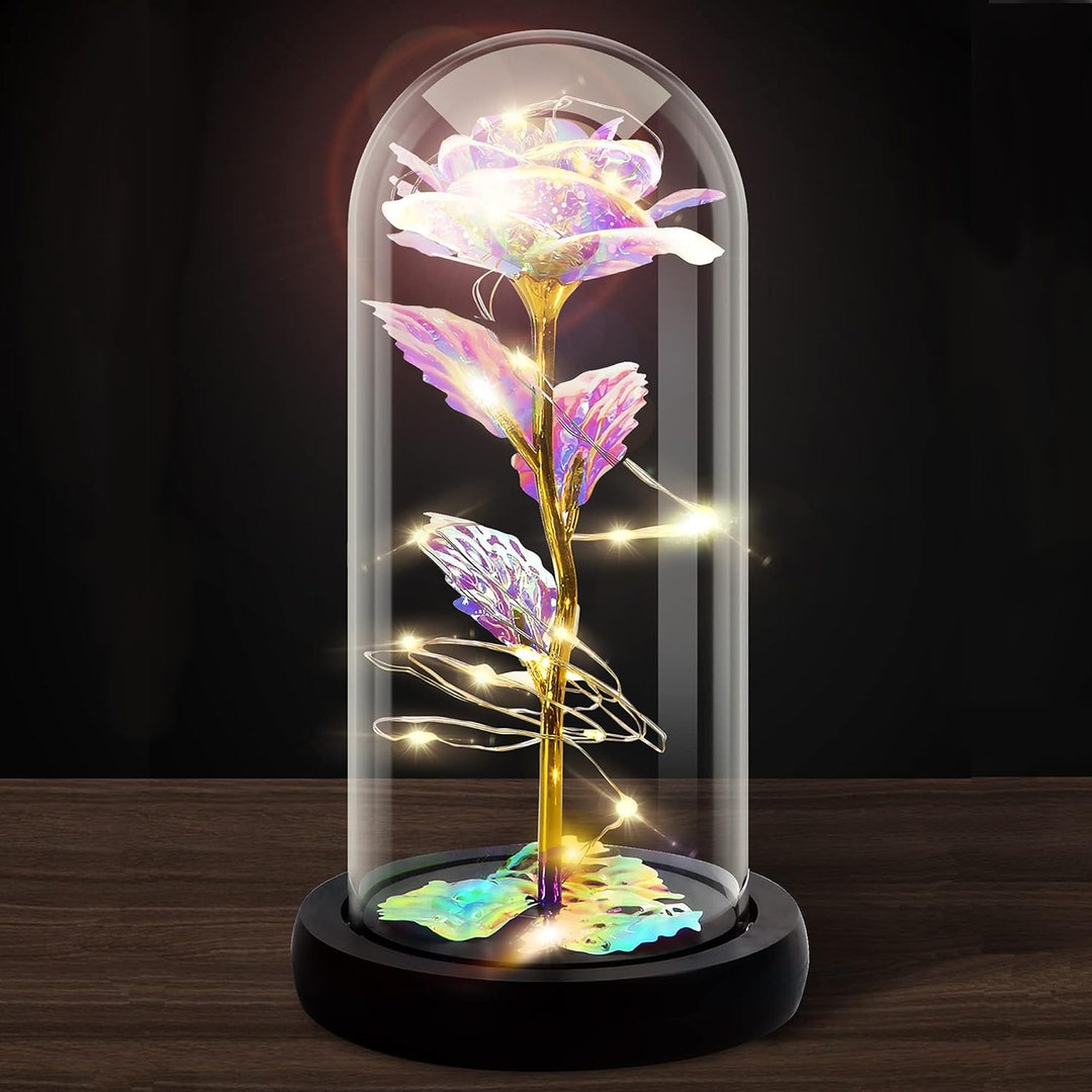 LED Light Eternal Glass Rose in Glass Dome Flower Forever Rose Gift for ...