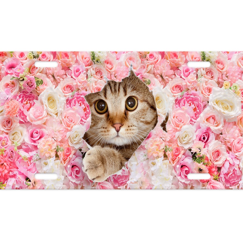 Cat Decorative Plate - Etsy