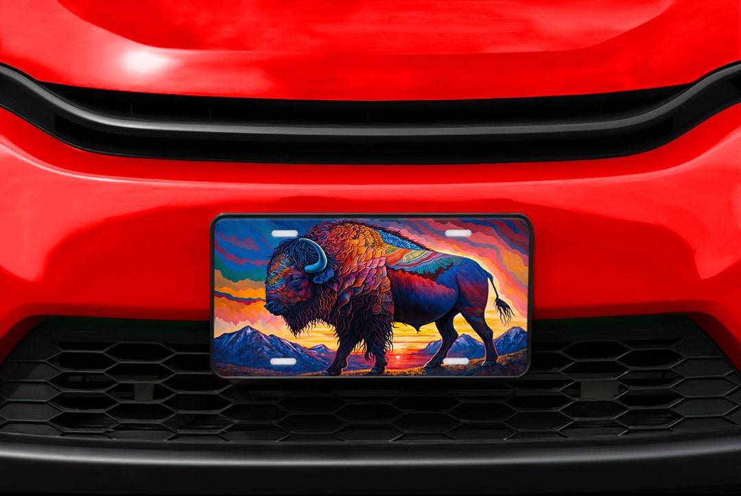 Tribal Buffalo Vanity Decorative Front License Plate - Cute Car License ...