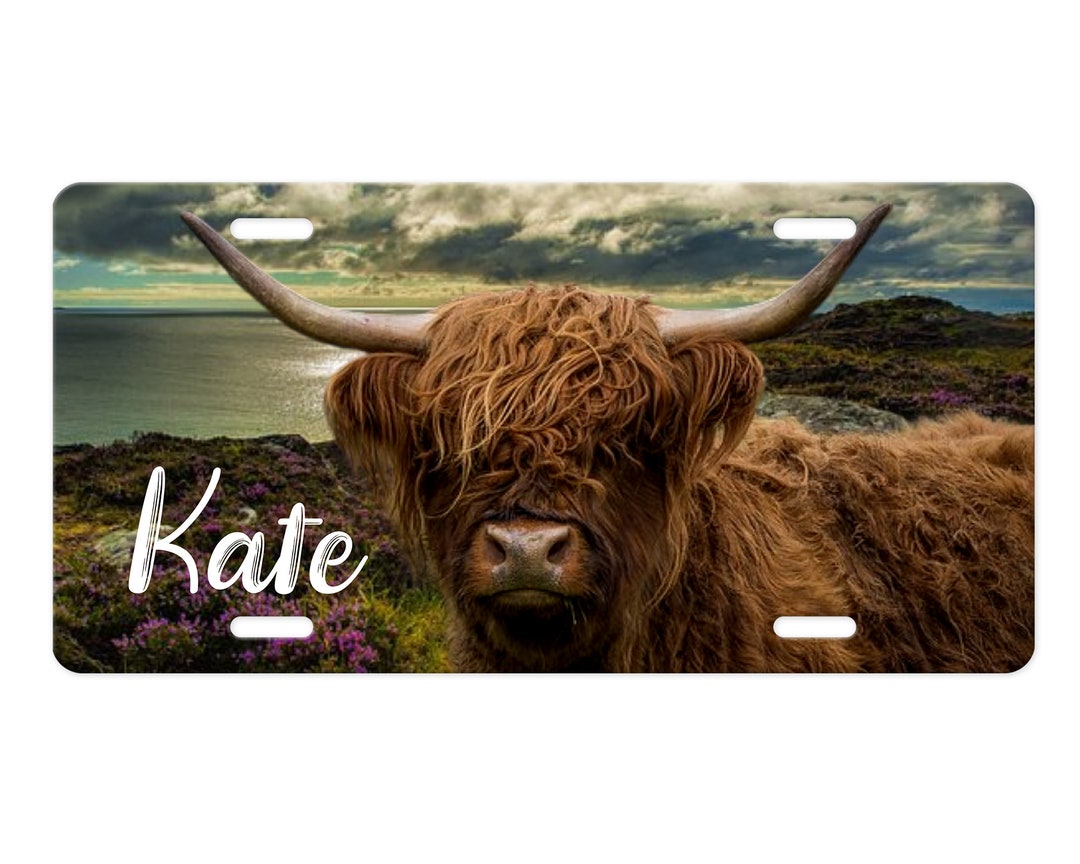 Personalized Highland Cow Aluminum Vanity License Plate Car Accessory ...