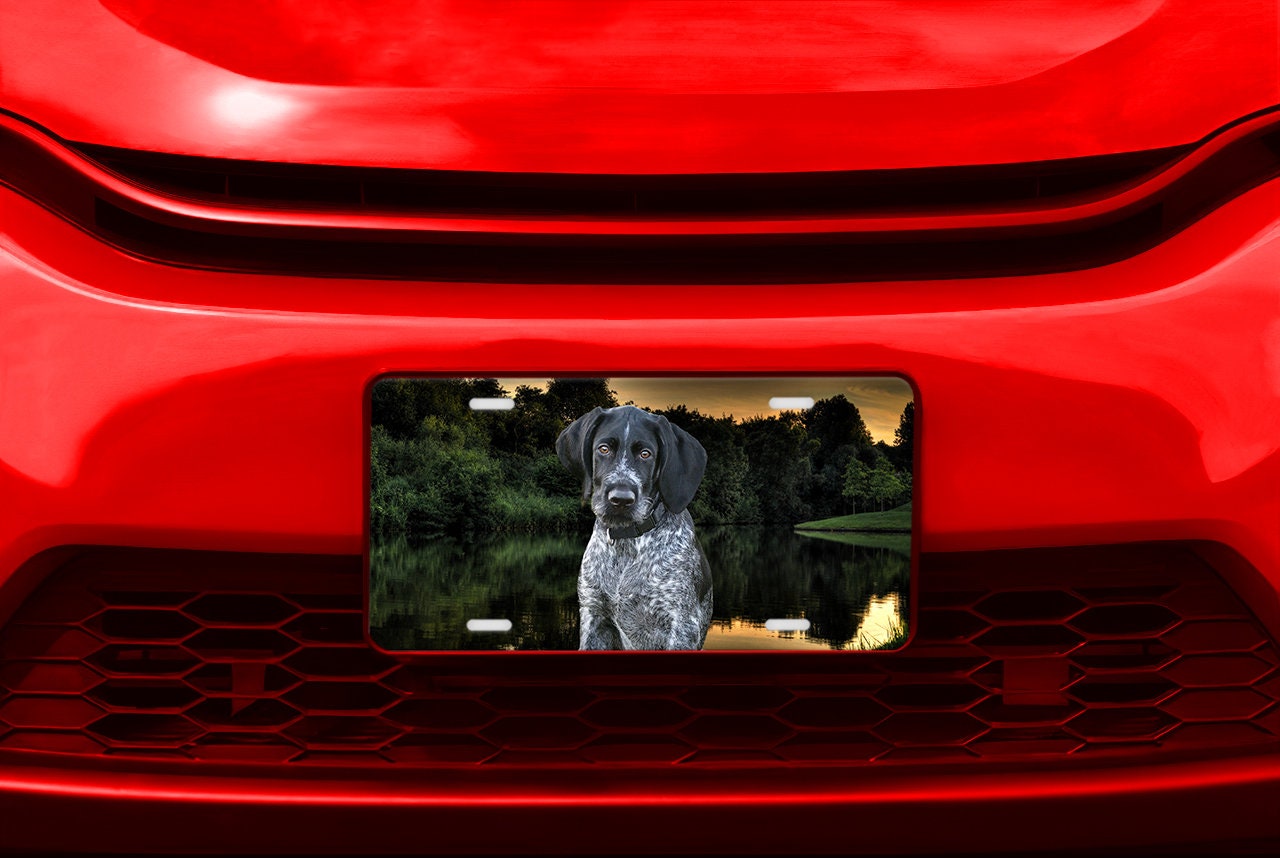 German Shorthaired Pointer Aluminum License Plate, GSP Dog Lover Car ...
