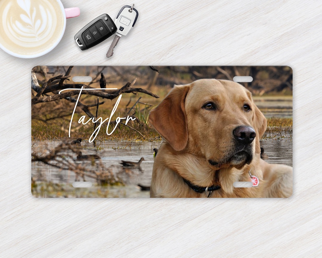 Personalized Labrador Retriever and Ducks Aluminum Vanity License Plate ...
