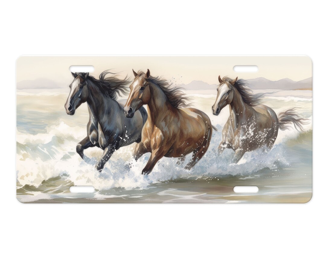 Vanity Front License Plate, Horses in Surf Aluminum Vanity License ...