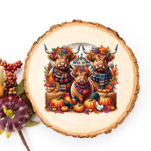 Highland Cow Fall Family Clear Sticker / Decal UV DTF Sticker ...