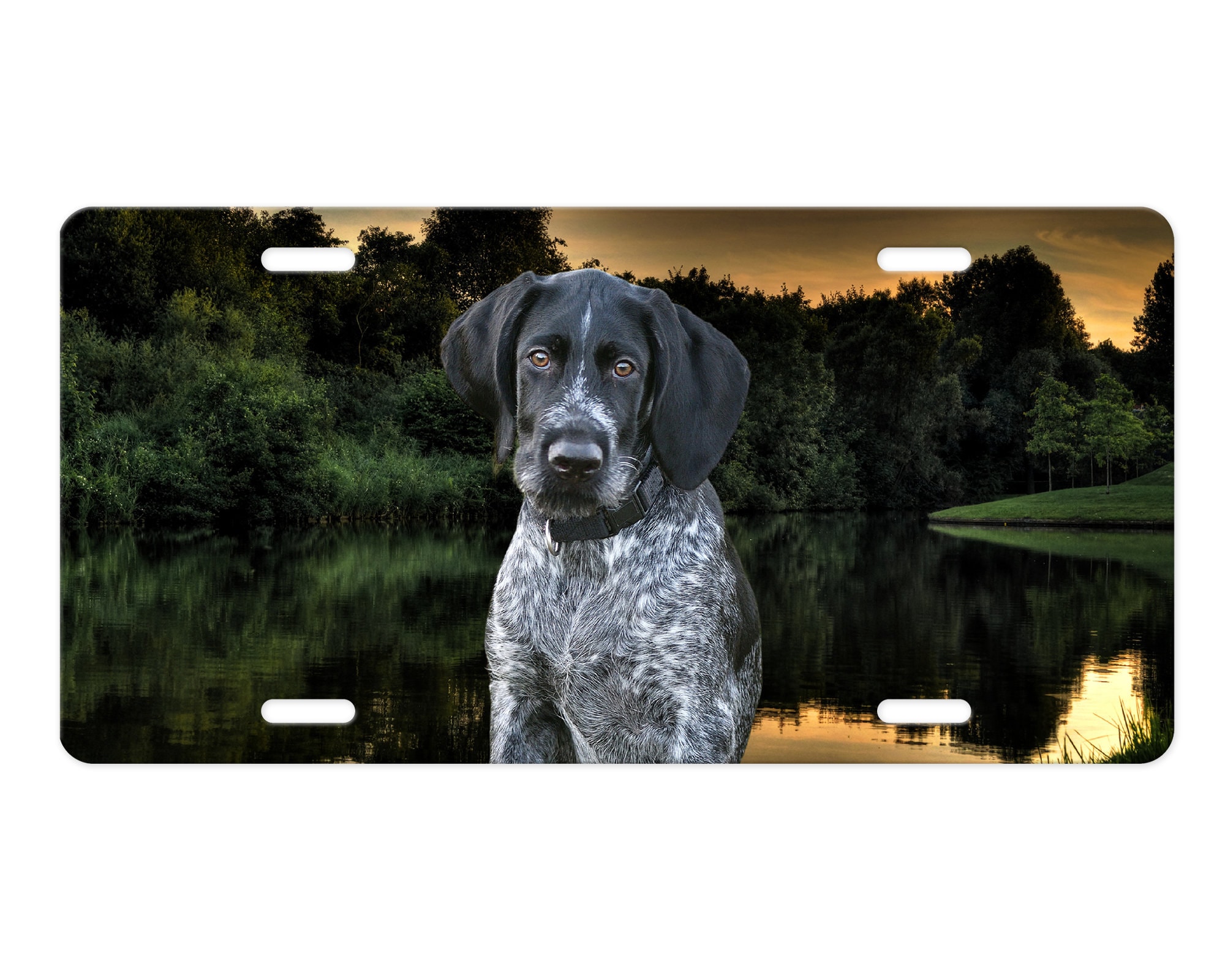 German Short Haired Pointer at Lake Pet Lovers Dog Aluminum Vanity ...