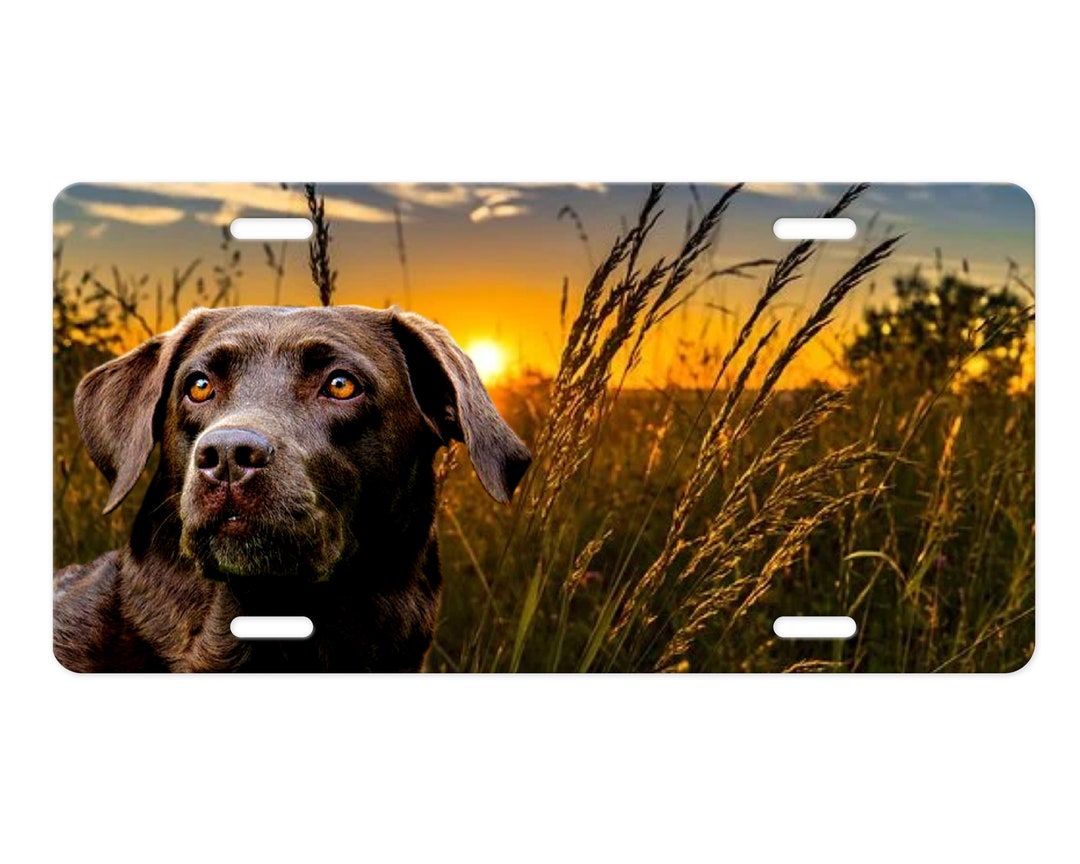 Chocolate Lab Labrador Pet Lovers Dog Aluminum Vanity License Plate Car ...