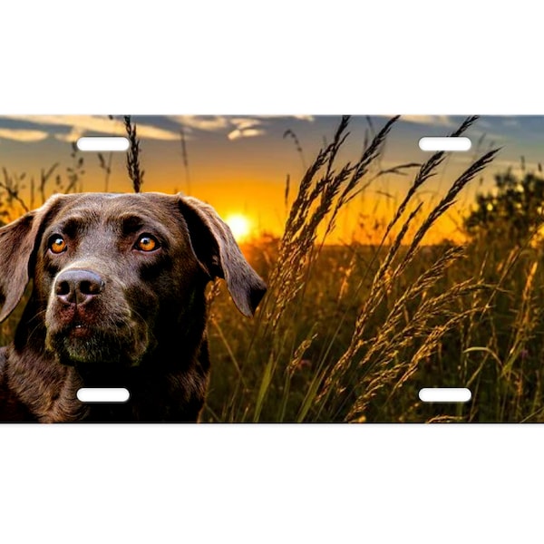 Chocolate Lab - Etsy