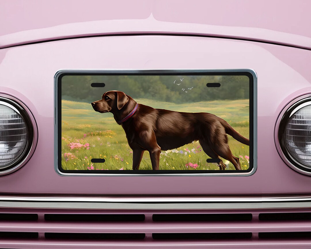 Chocolate Labrador Aluminum License Plate, Car Front Plate - Etsy