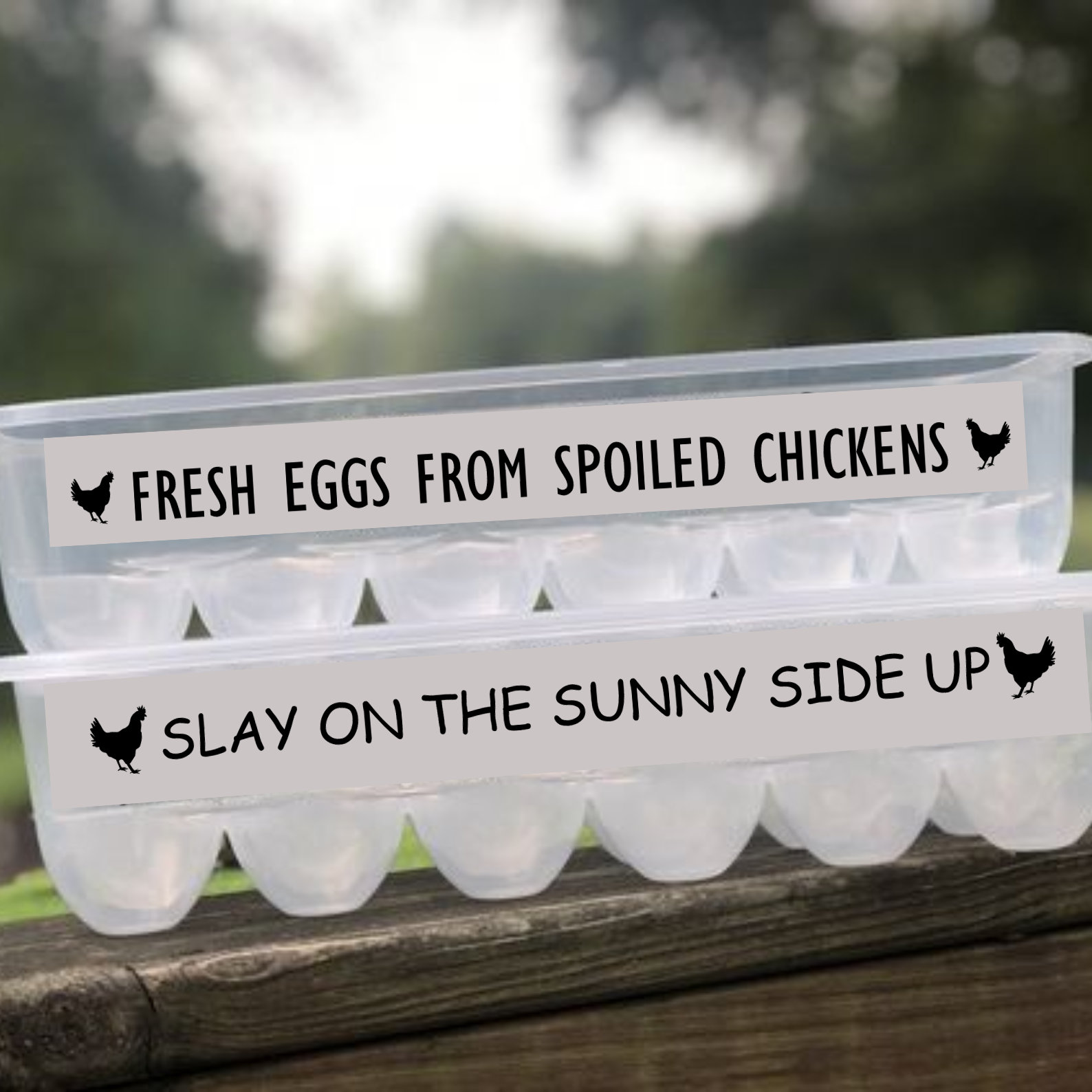 Egg Container SVG Bundle, Egg Container Sayings, Chicken Egg, Funny Egg ...