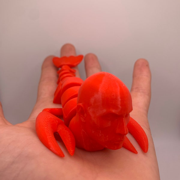 Rock Lobster - Etsy