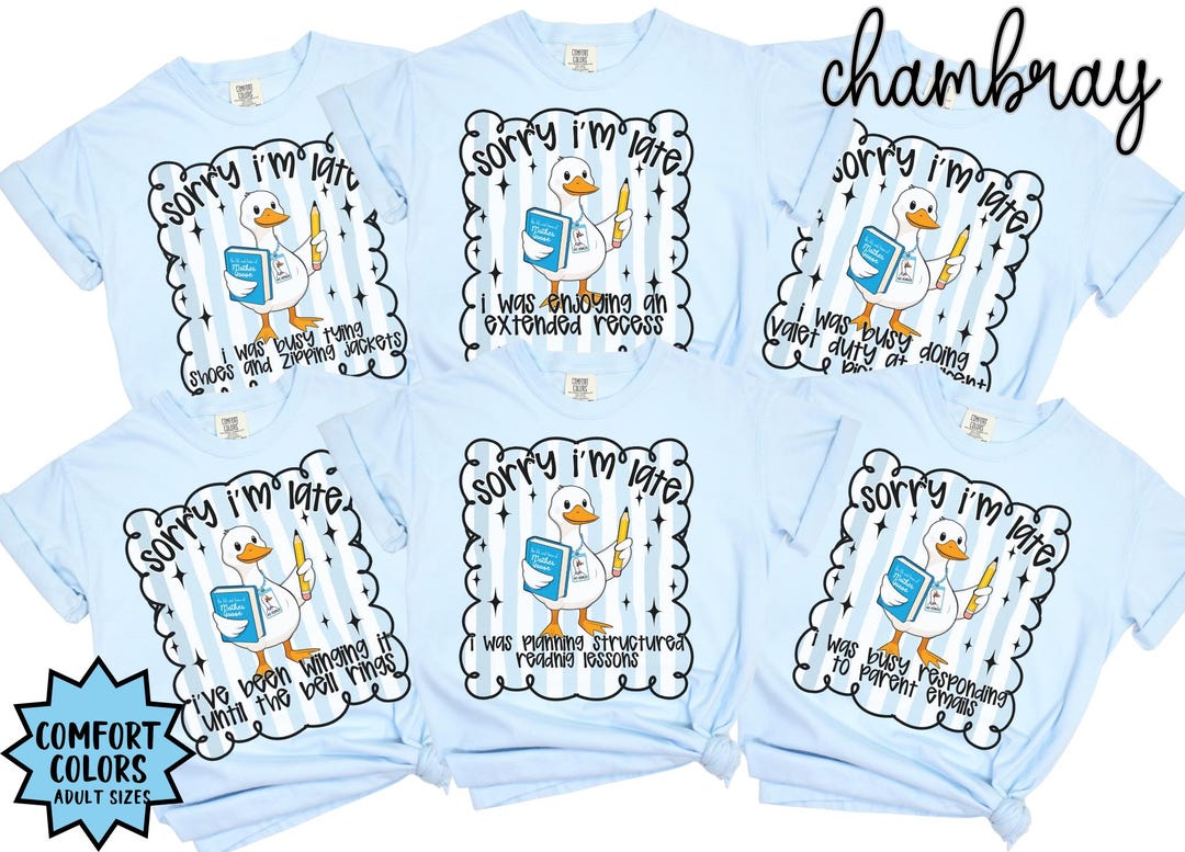 Teacher Group Silly Teacher Goose Tees,comfort Colors,silly Goose ...