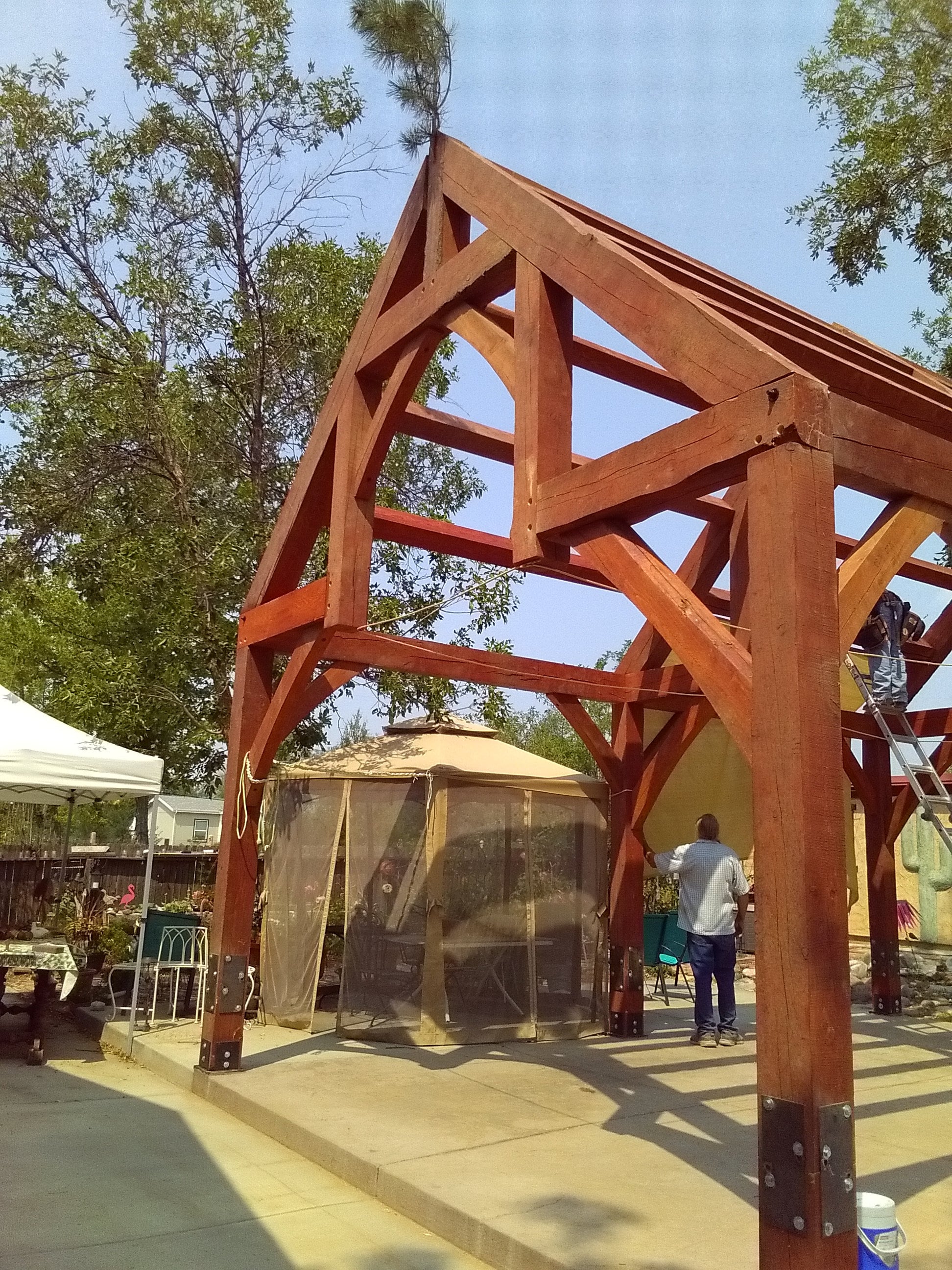 Hammerbeam Timber Frame Pavilion - Etsy