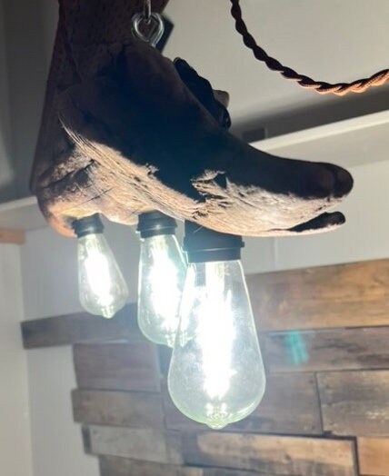 Driftwood Light - Modern, Rustic, Bohemian - Ceiling Light - Nature ...