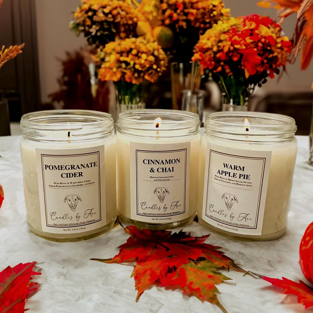 Fall Collection - 3 Pet Safe Candles - 100% Soy Wax - Scented - Etsy