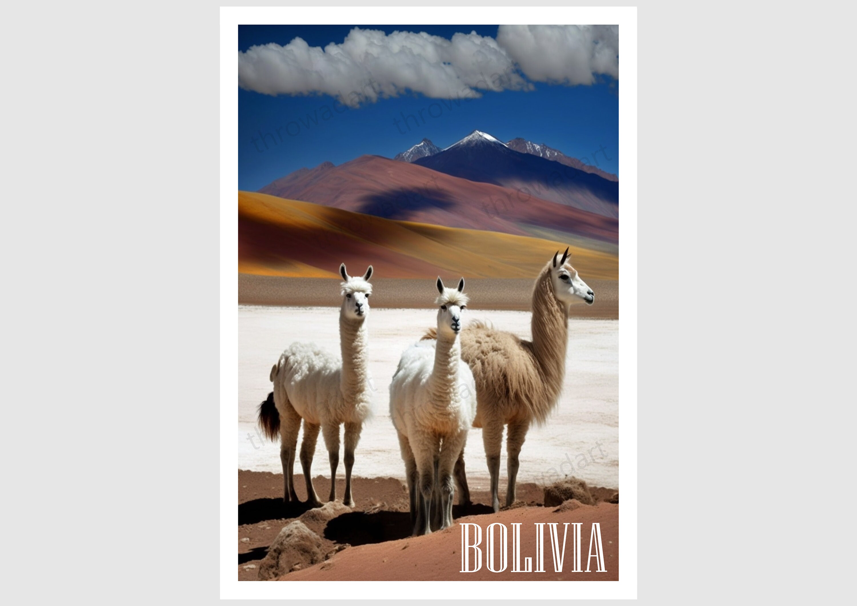Bolivia Travel Poster Bolivia Art Print Bolivia Art Poster - Etsy