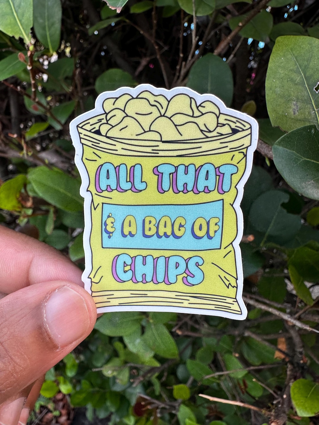 All That & A Bag of Chips Sticker - Funny Food Decal - Vinyl - Etsy
