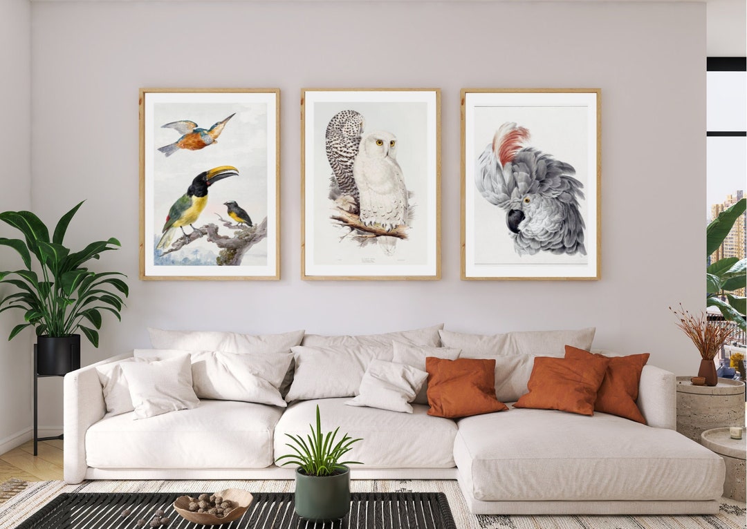 8 Best Vintage Birds Posters, Best Retro Bird Print, Blue Heron, Travel ...