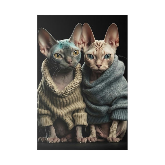 Cute Hairless Cats