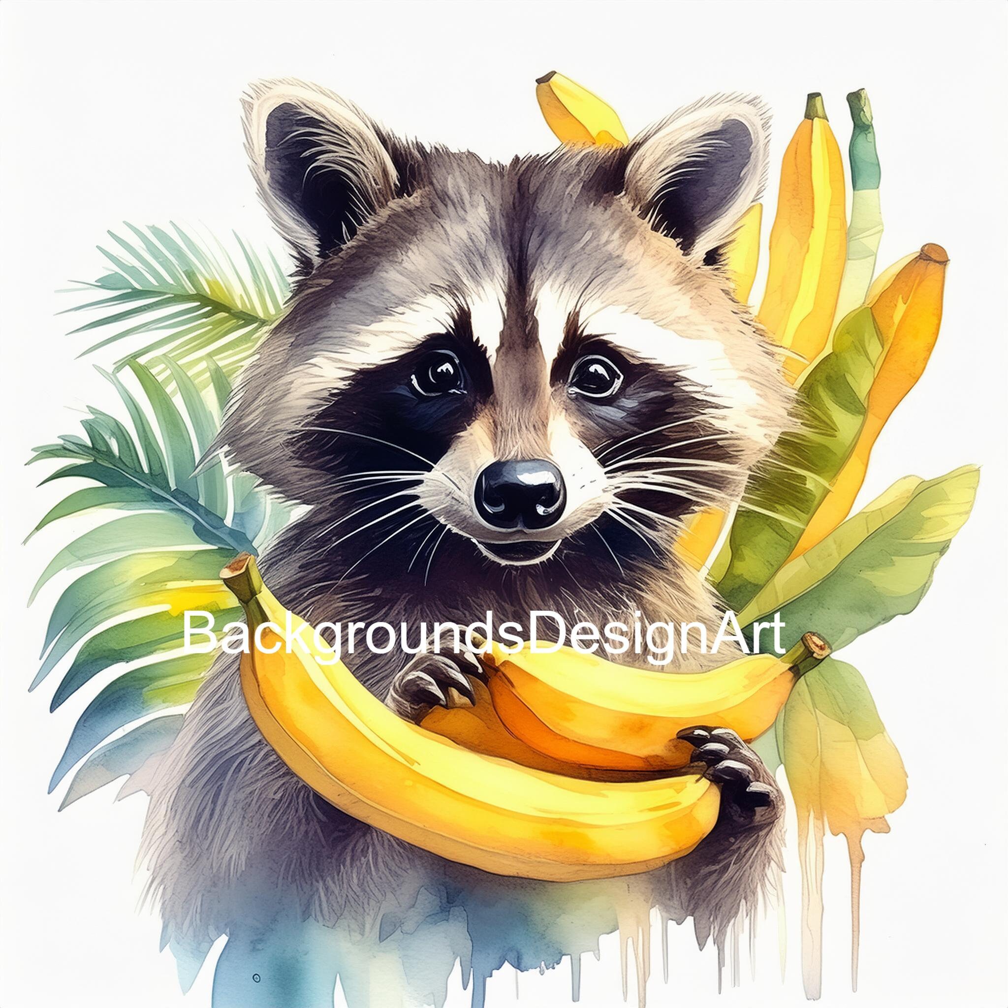 Racoon Clipart, Raccoon With Food, Cute Raccoon Images, 9 Watercolor Clip Art, Fruits ...