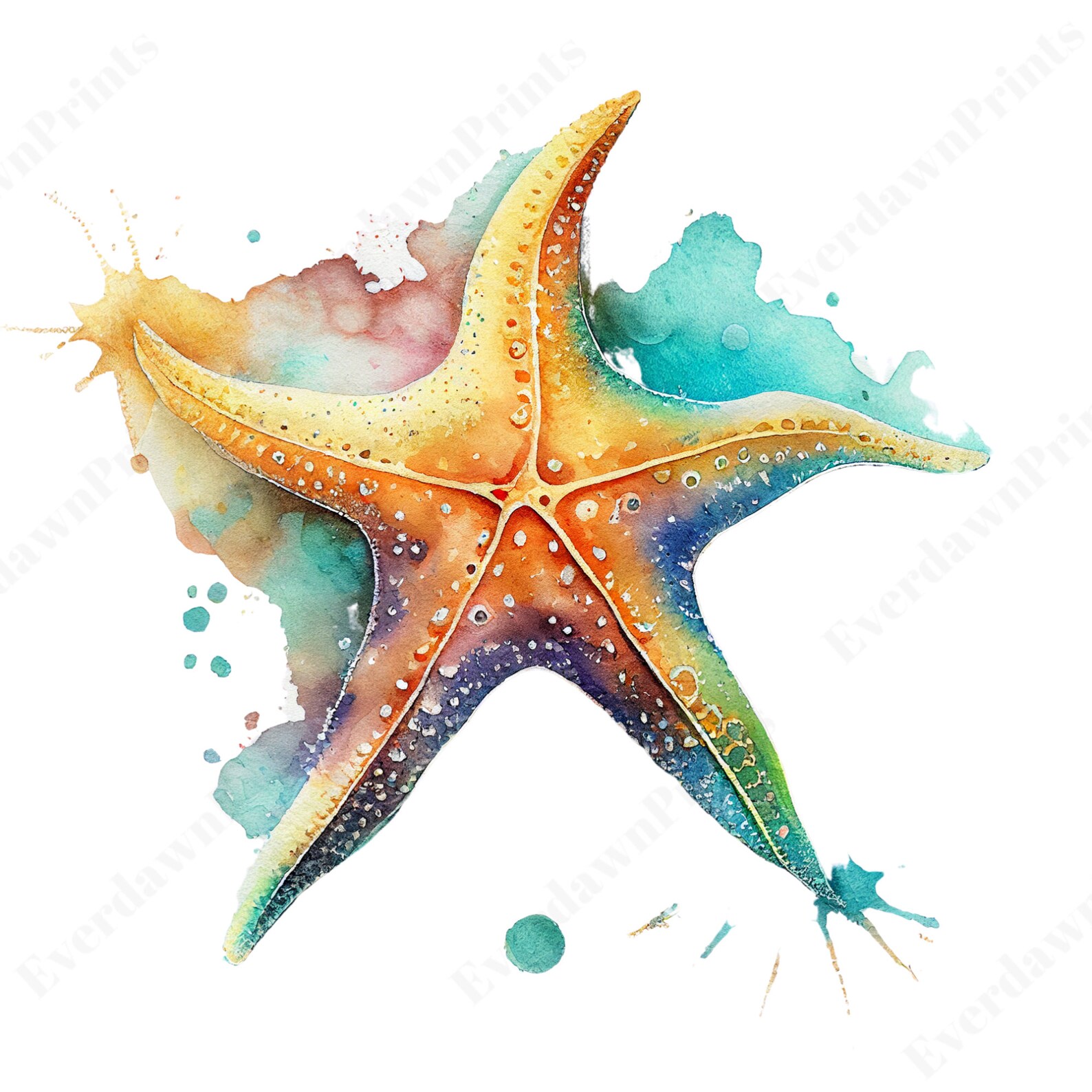 18 Watercolor Starfish Clipart, High Quality Transparent PNG ...