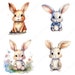 20 Watercolor Cute Bunny Clipart, Transparent, High Quality Pngs ...