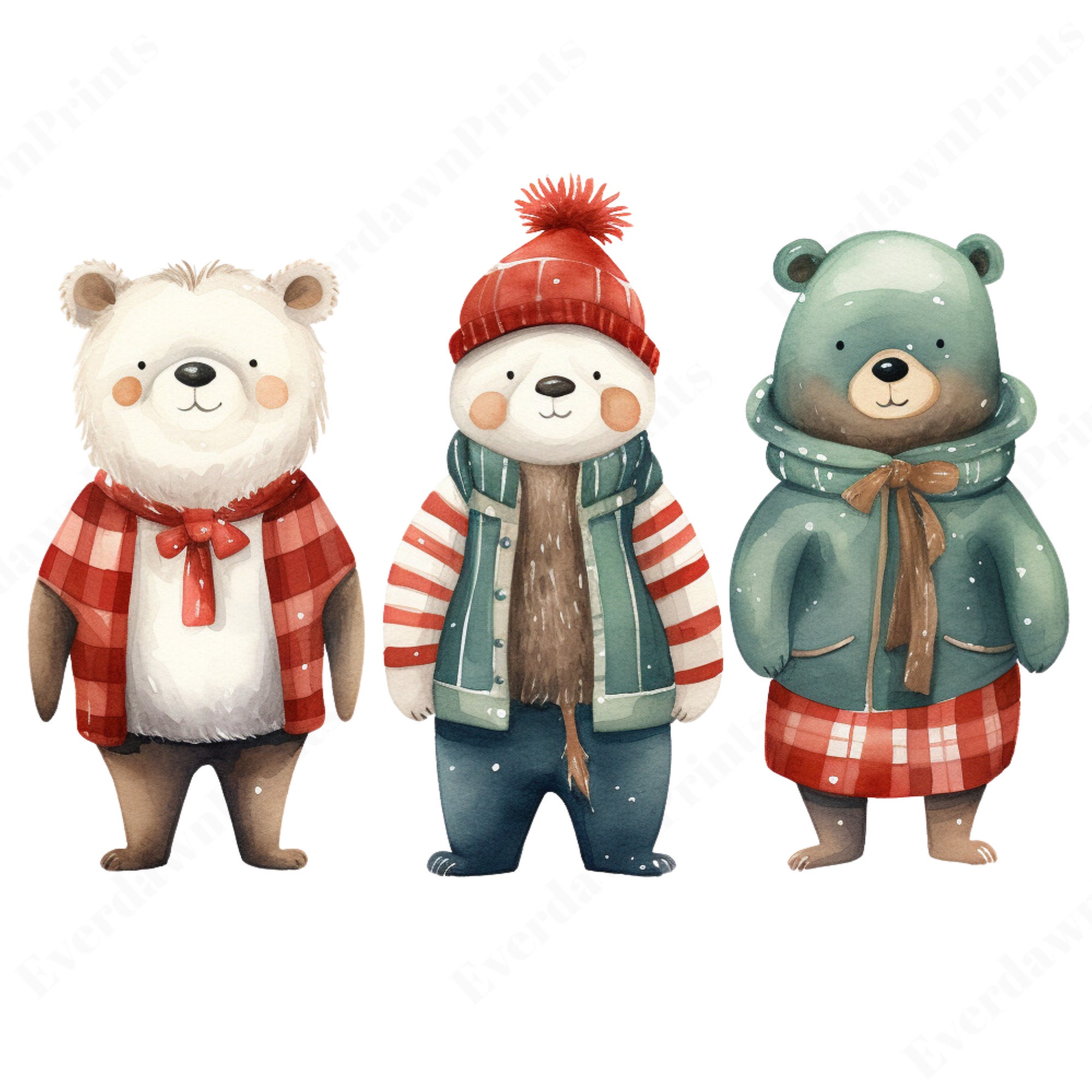 21 Winter Animals Watercolor Clipart, Transparent PNG, Christmas ...