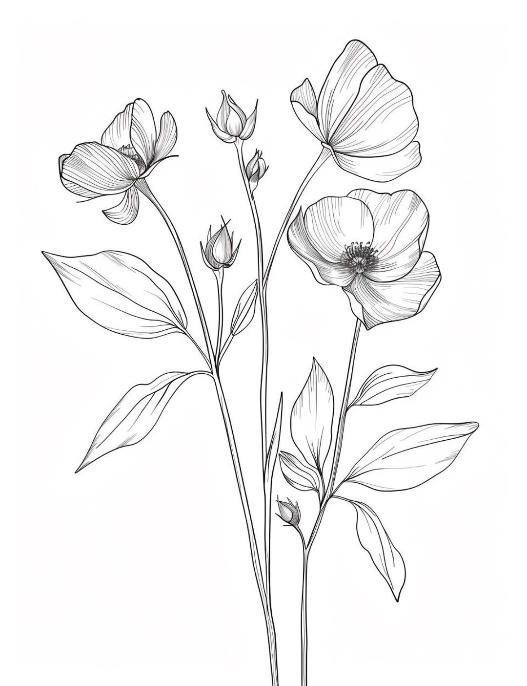 36 Floral Clipart Set, Line Art Flowers, Digital Download Clipart, Hand ...