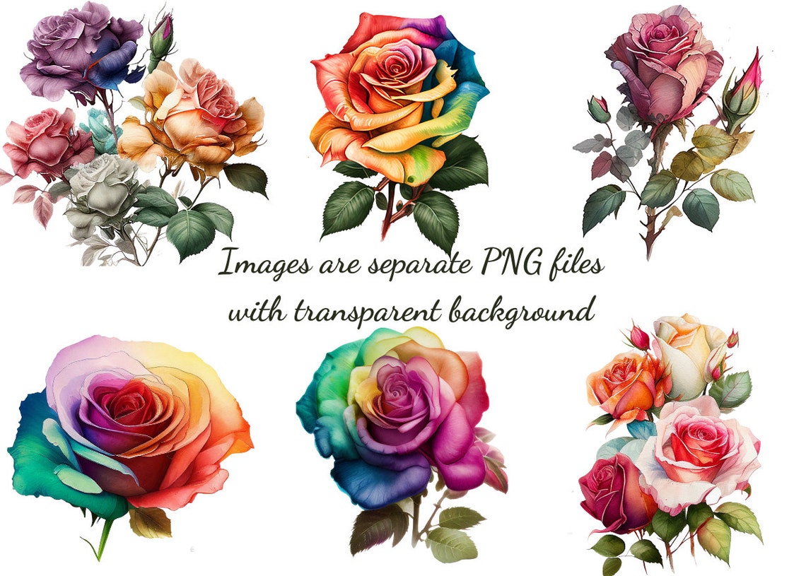 38 Colorful Rose Clipart, Watercolor, High Quality Transparent PNG ...