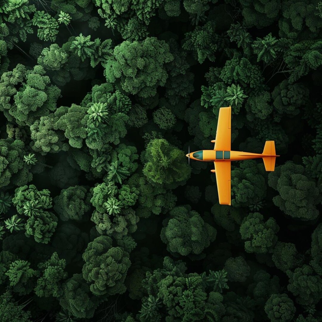 24 Airplane in Forest Clipart, Nature Aviation Digital Art, Green ...