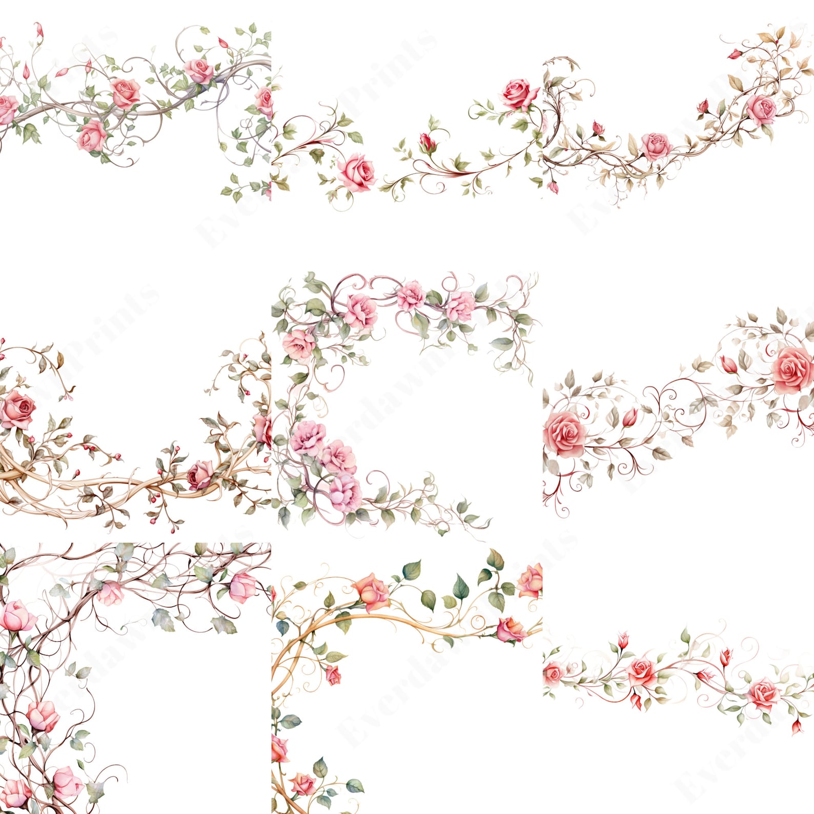 75 Watercolor Rose Vine Borders, Watercolor Floral Borders, Wild ...