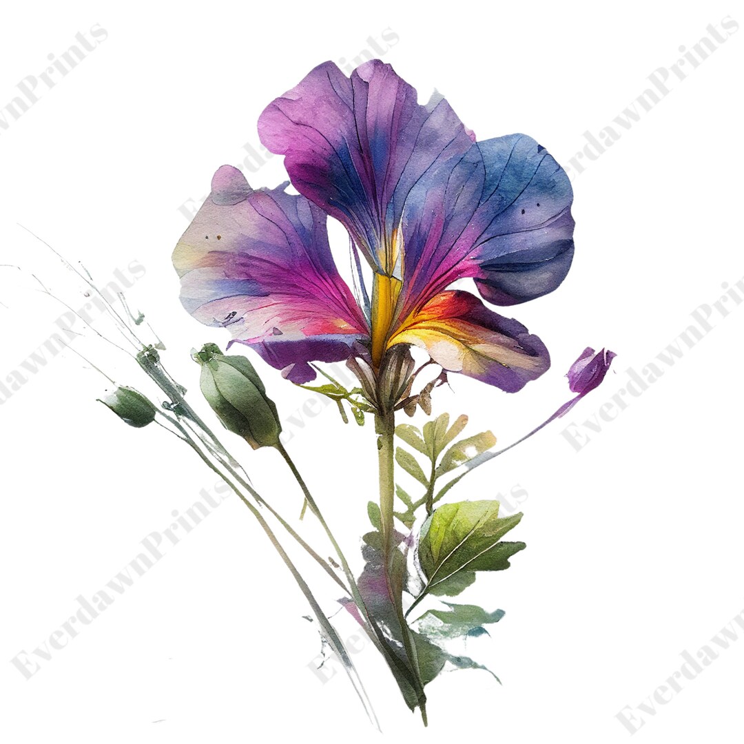 Watercolor Wildflower Clipart, Floral PNG Set, Card Making (digital ...