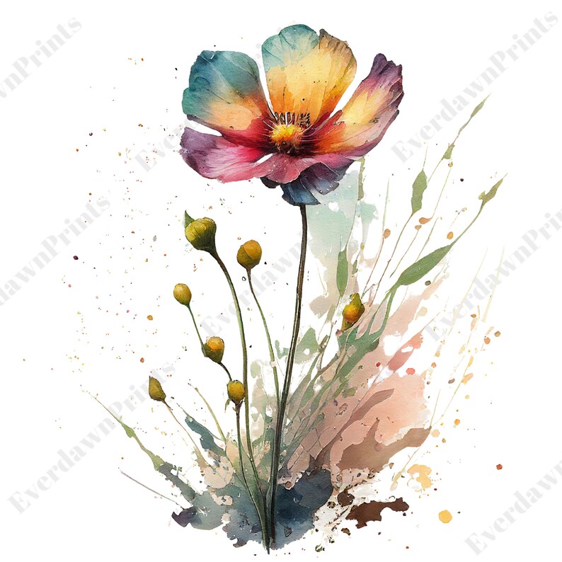 18 Watercolor Meadow Flowers Clipart High Quality PNG Card - Etsy