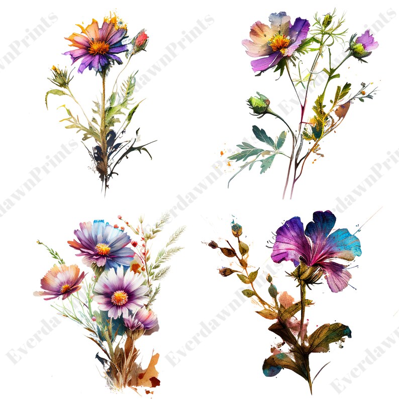 Watercolor Wildflower Clipart, Floral PNG Set, Card Making (digital ...