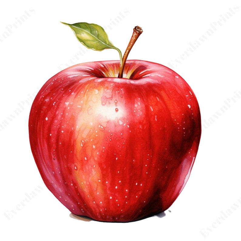 Watercolor Apple Clipart, 24 High Quality Transparent PNG, Apple PNG ...