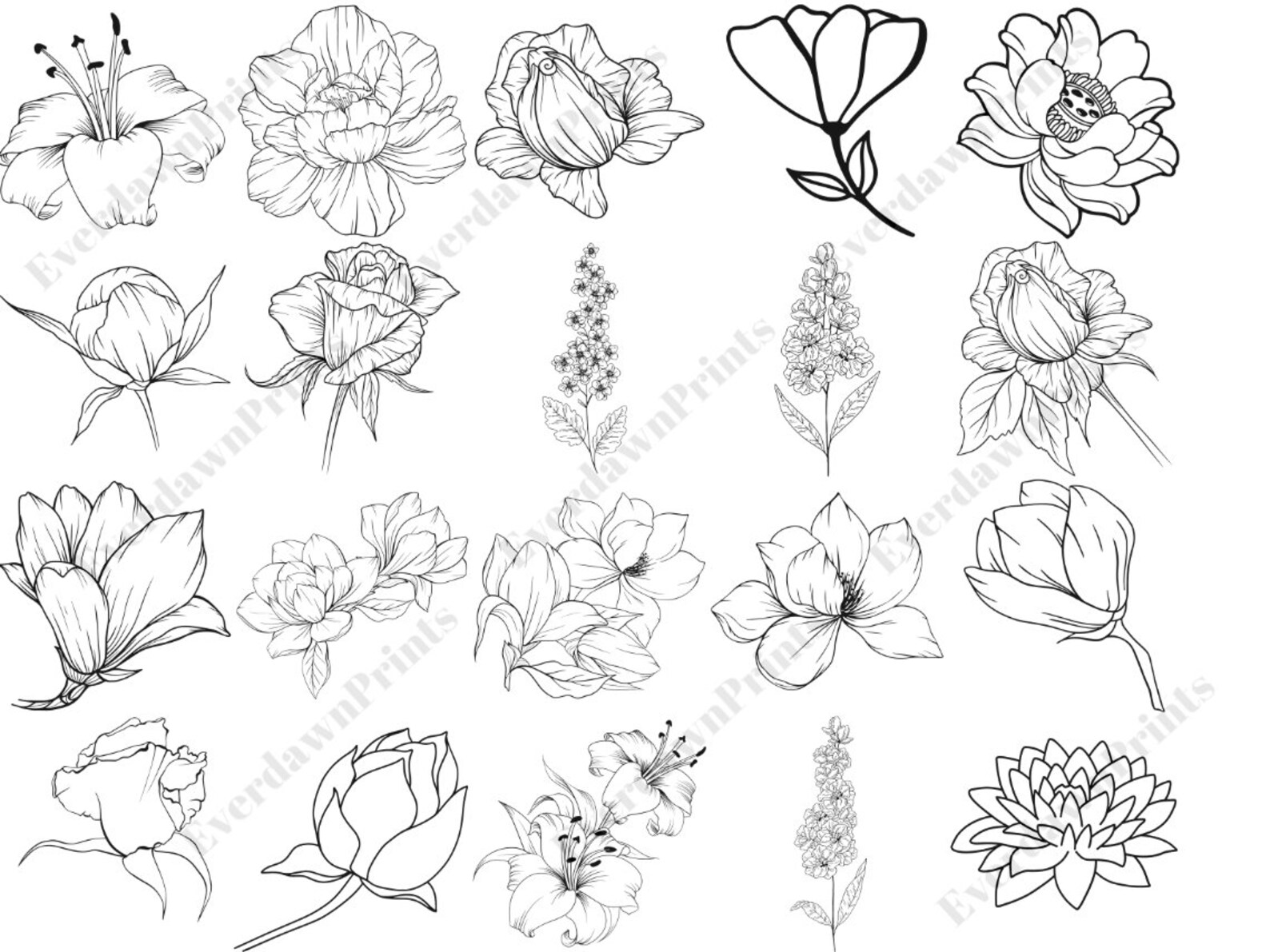 101 Flower SVG, Hand Drawn SVG, Flower Svg, Black and White, Flower ...