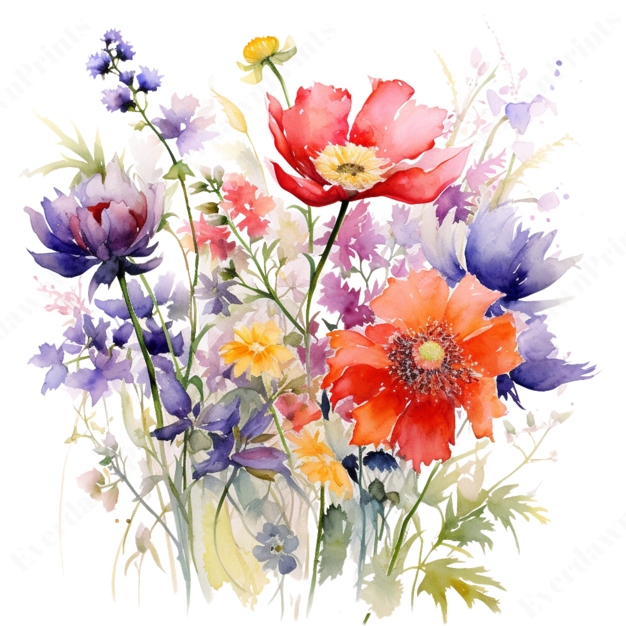 15 Watercolor Colorful Flowers Clipart, Watercolor, High Quality ...